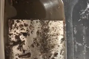 Does Tungsten Rust? - MetalProfy