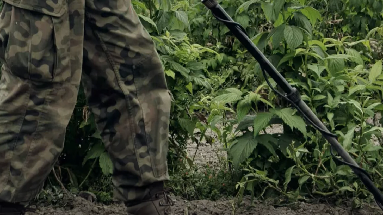 What Metal Detector Does Gary Drayton Use? - MetalProfy