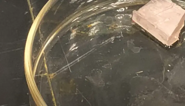 Why Are Alkali Metals So Reactive? - MetalProfy