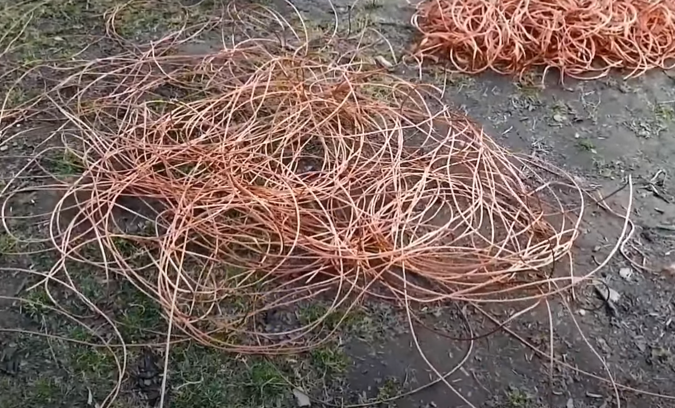 Where to Find Big Copper Wire? - MetalProfy